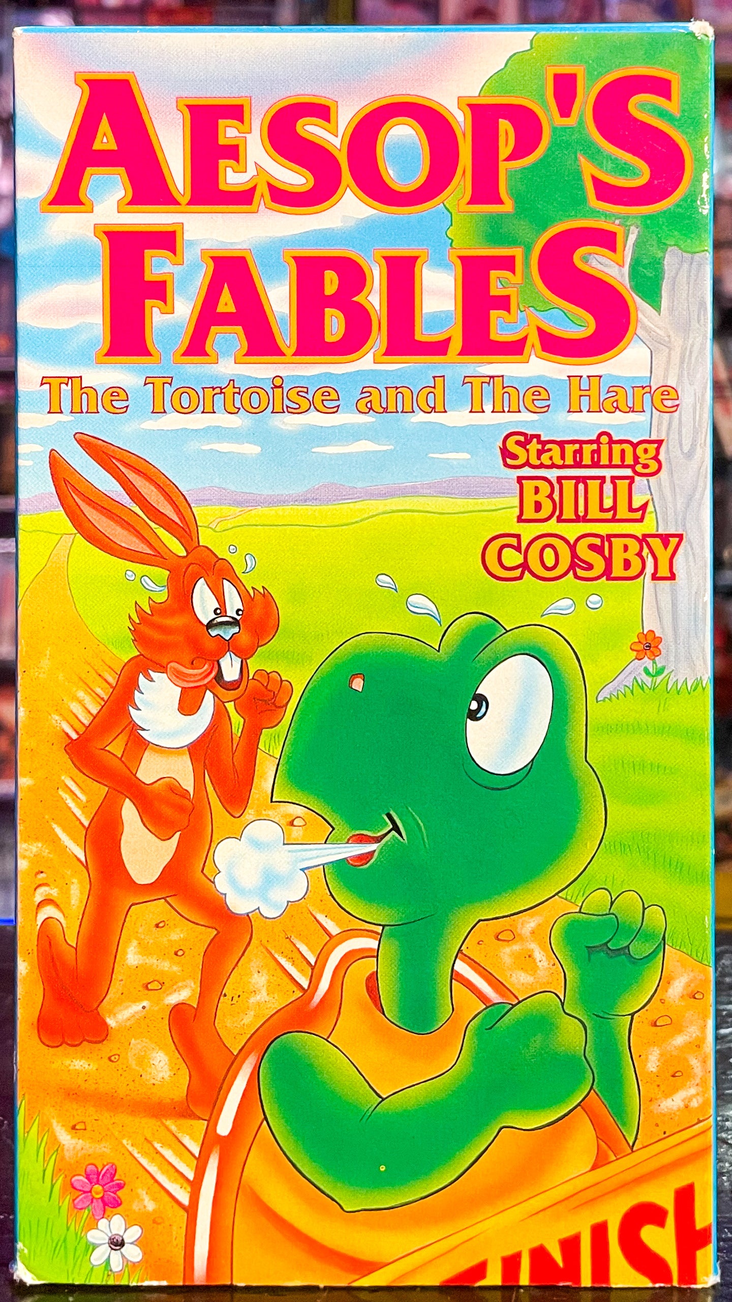 Aesop Fables The Tortoise And The Hare